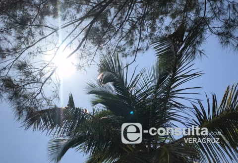 Altas temperaturas dominarán el clima en Veracruz este 19 de junio | e ...
